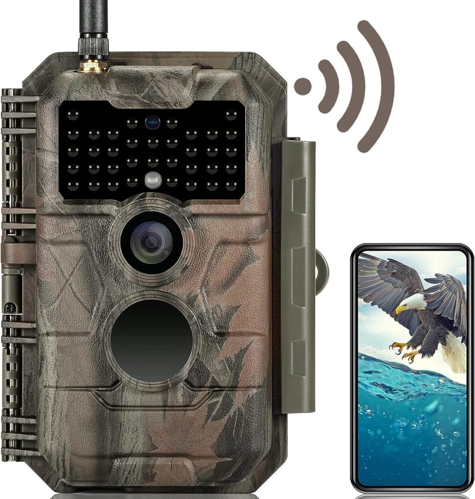 Dutch Berry Sheriff: Why Security Cameras Are A Good Idea